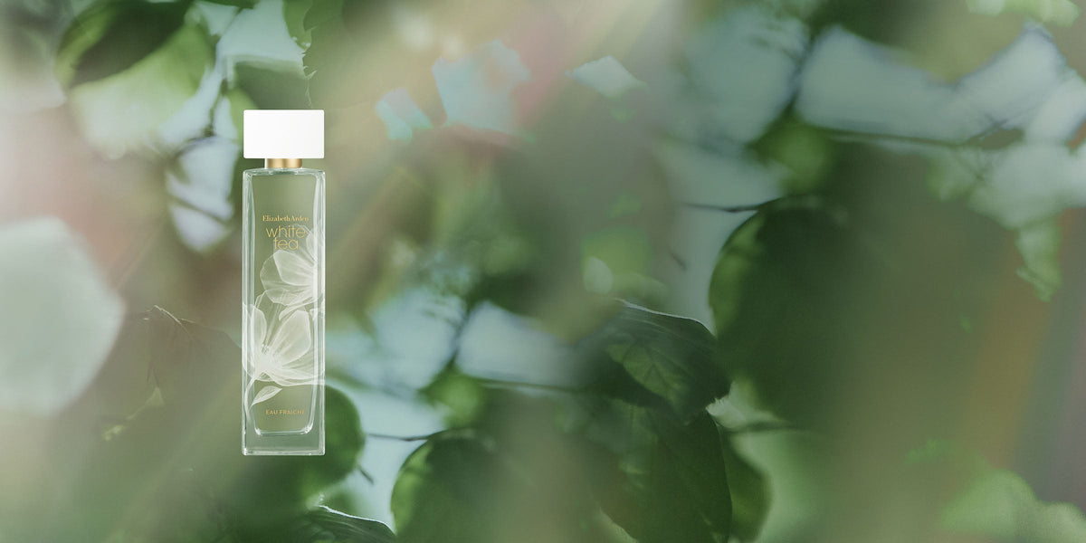 White Tea Fragrance Collection | Elizabeth Arden – Elizabeth Arden UK