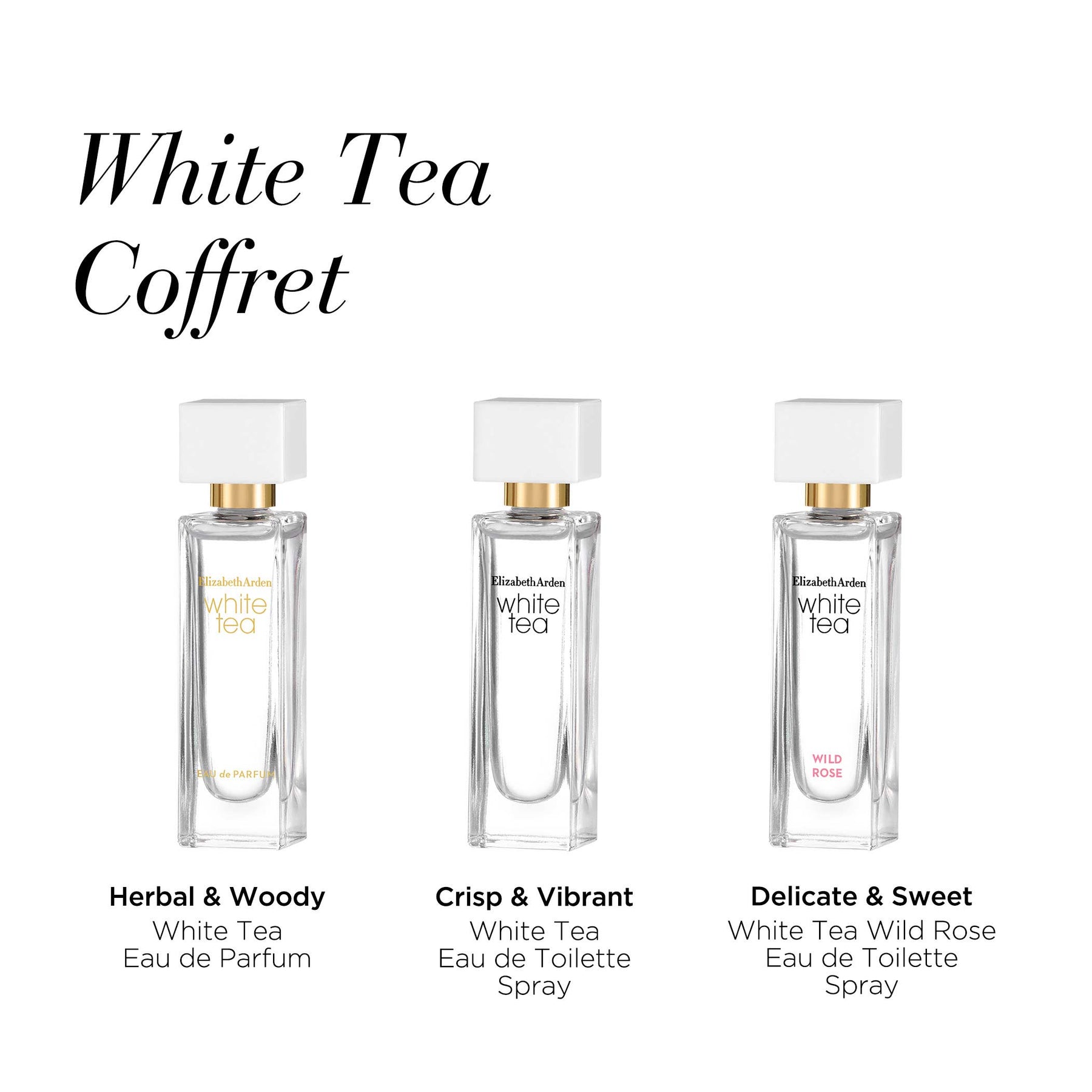 White Tea Fragrance Collection Mini Coffret | Elizabeth Arden UK